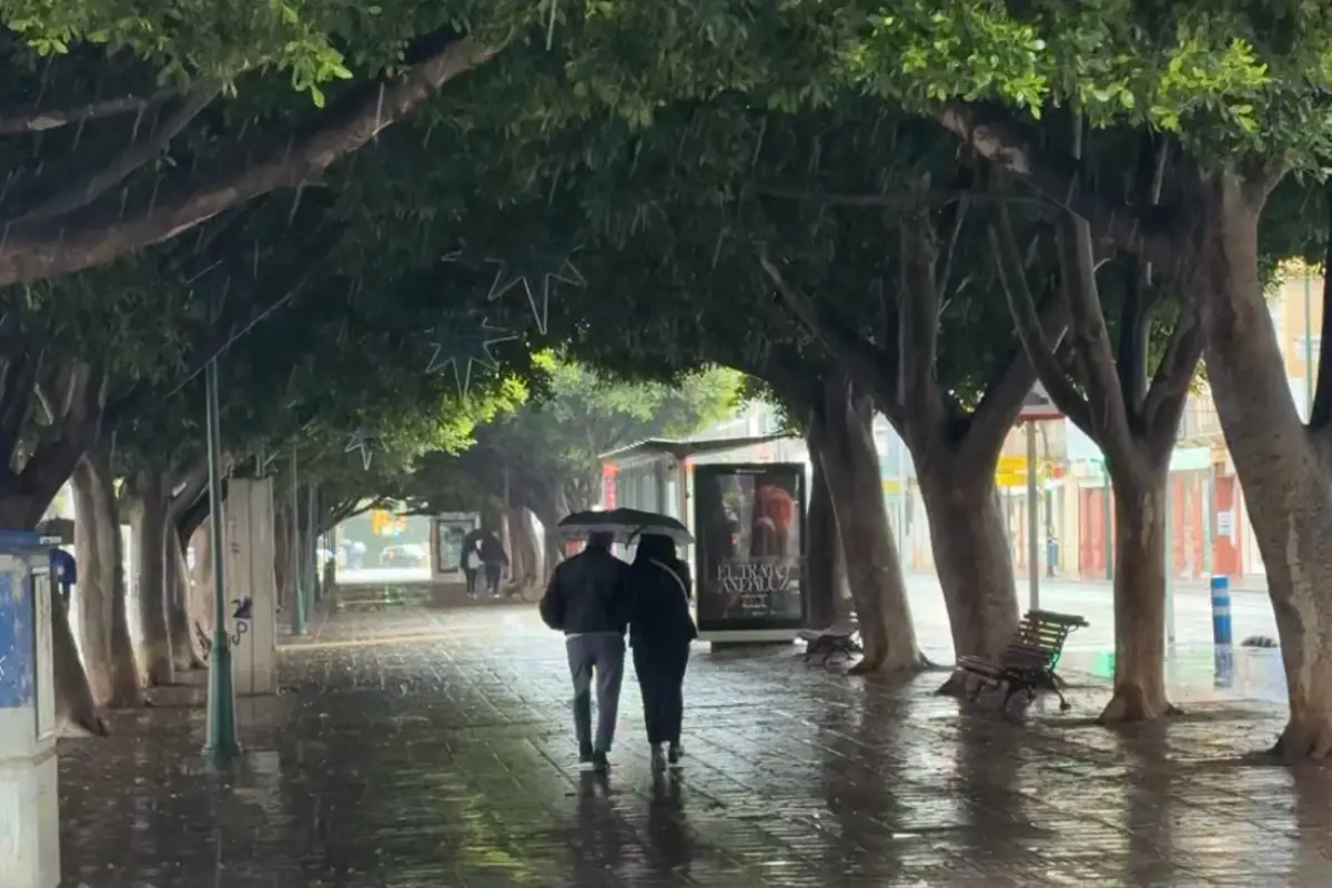 What to Do in Malaga When It Rains: 18 Indoor Activities (2026)